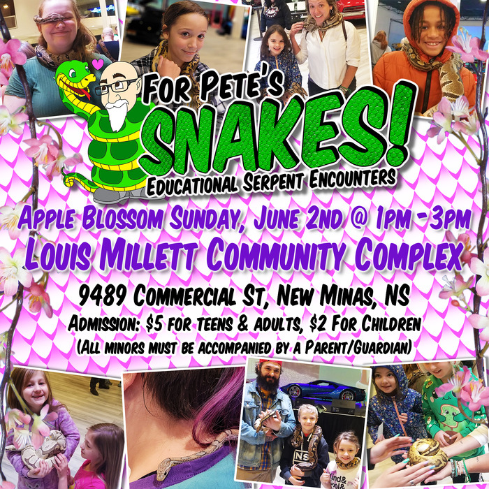 Apple Blossom Snakes at Louis Millett Community Complex, New Minas ...